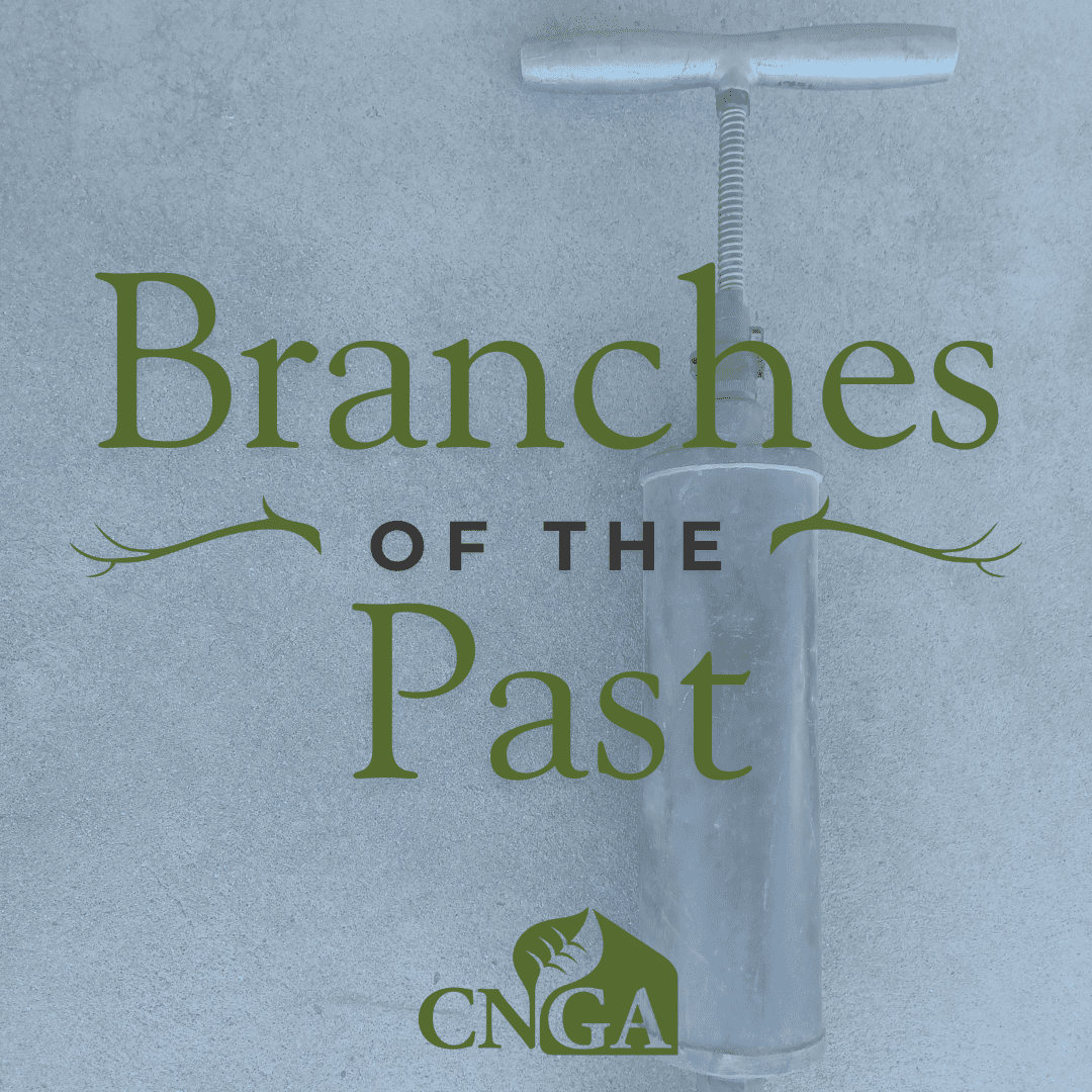 Branches of the Past: Potting Soil - NewsLeaf